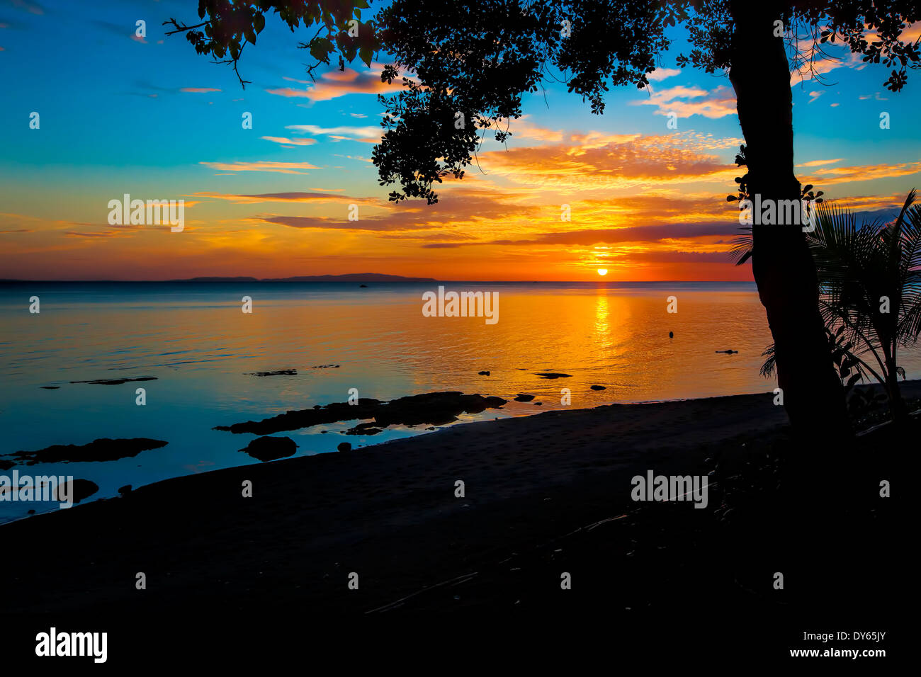 Donsol, The Whale Shark Capital Stock Photo - Alamy