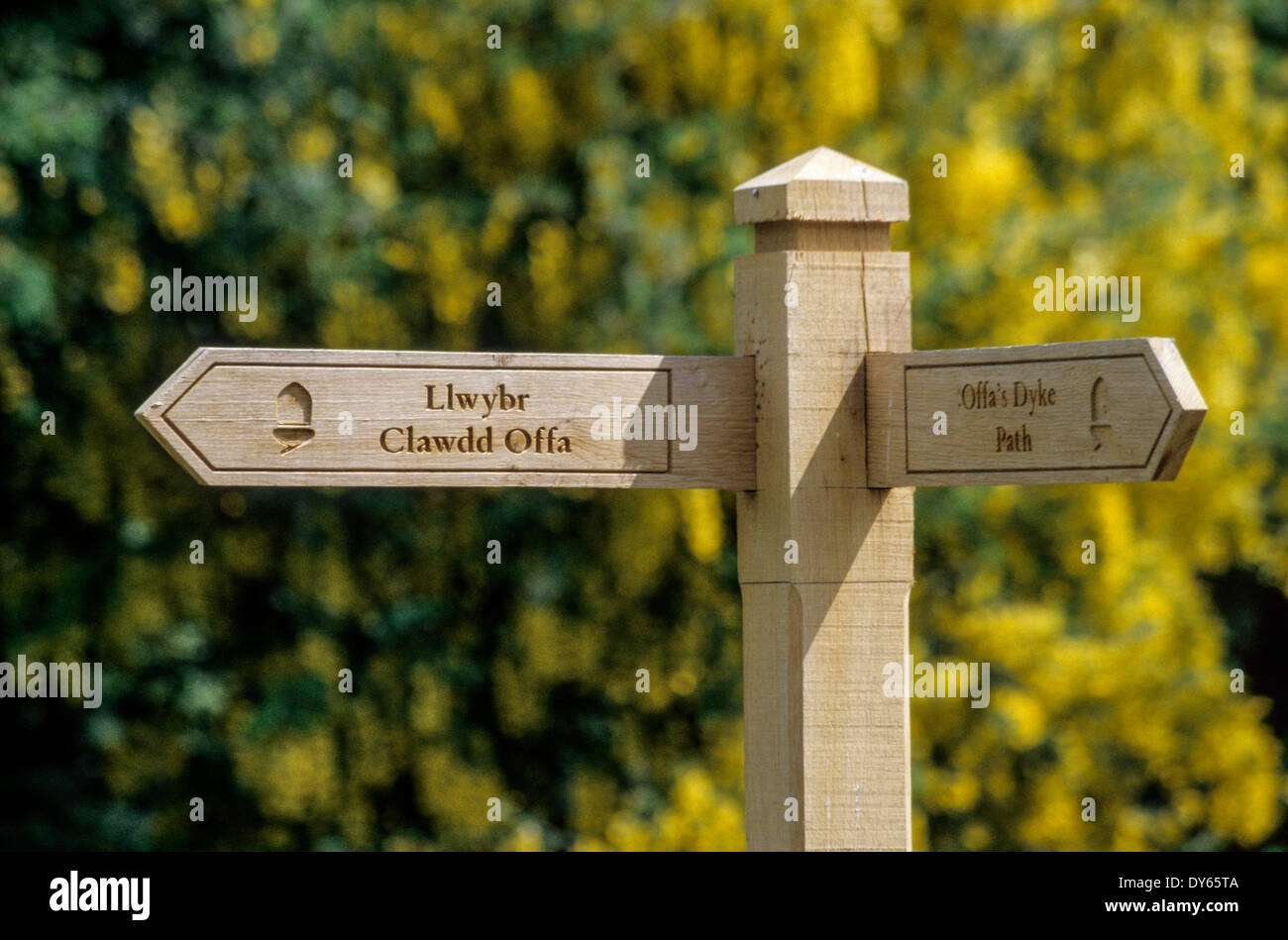 Bilingual welsh english footpath sign hi-res stock photography and ...