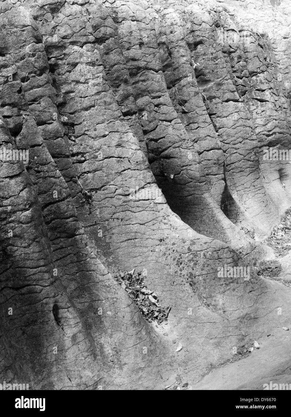 Labyrinth detail Black and White Stock Photos & Images - Alamy