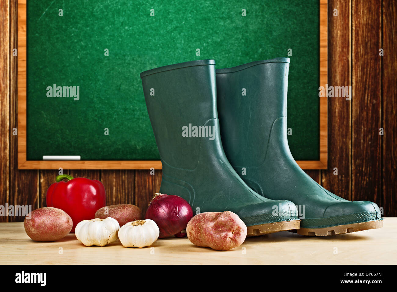 Rubber boots and various vegetable. Gardening concept - growing ...