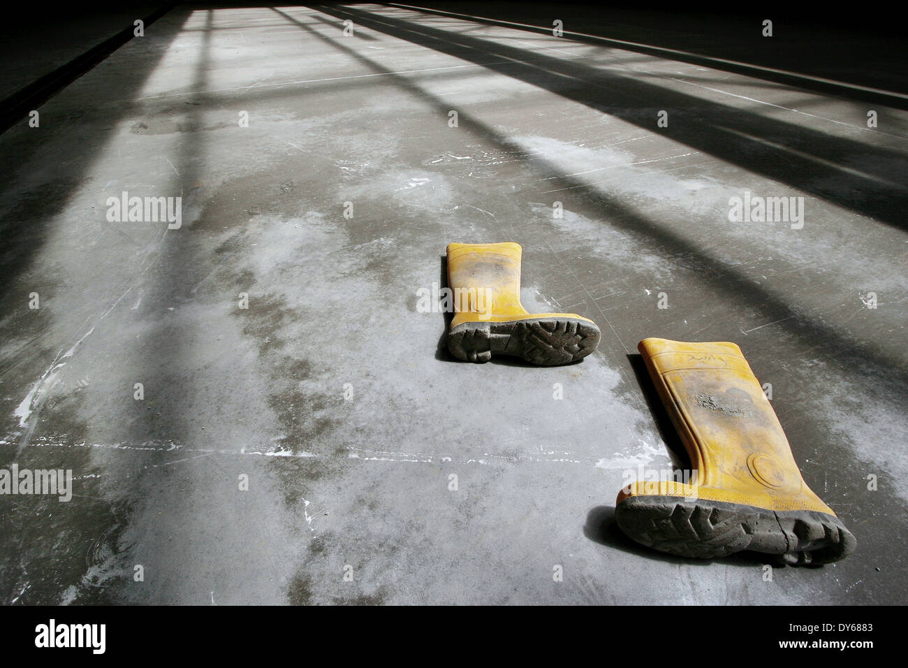 Feet in a yard hi-res stock photography and images - Alamy