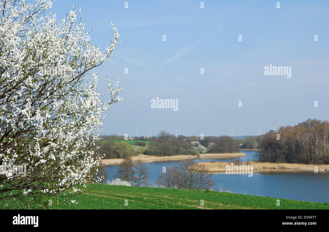 Lietzen, Germany. 30th Mar, 2014. Spring landscape seen from the ...