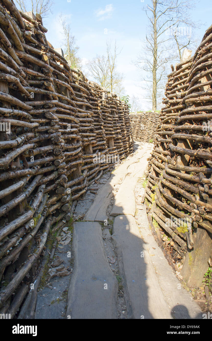 Bayernwald Trenches world war one flanders Belgium Stock Photo - Alamy