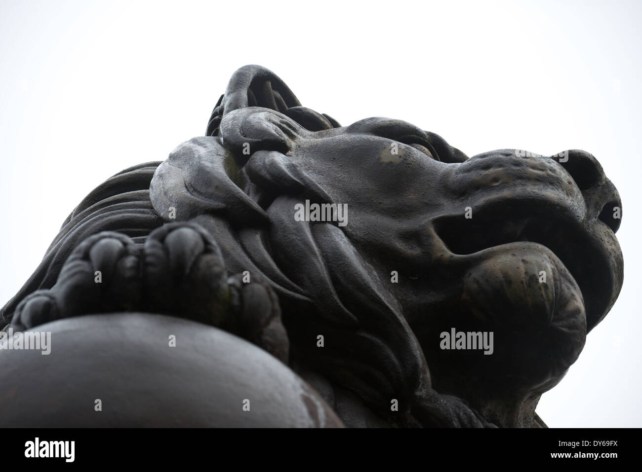 Waterloo monument detail hi-res stock photography and images - Alamy