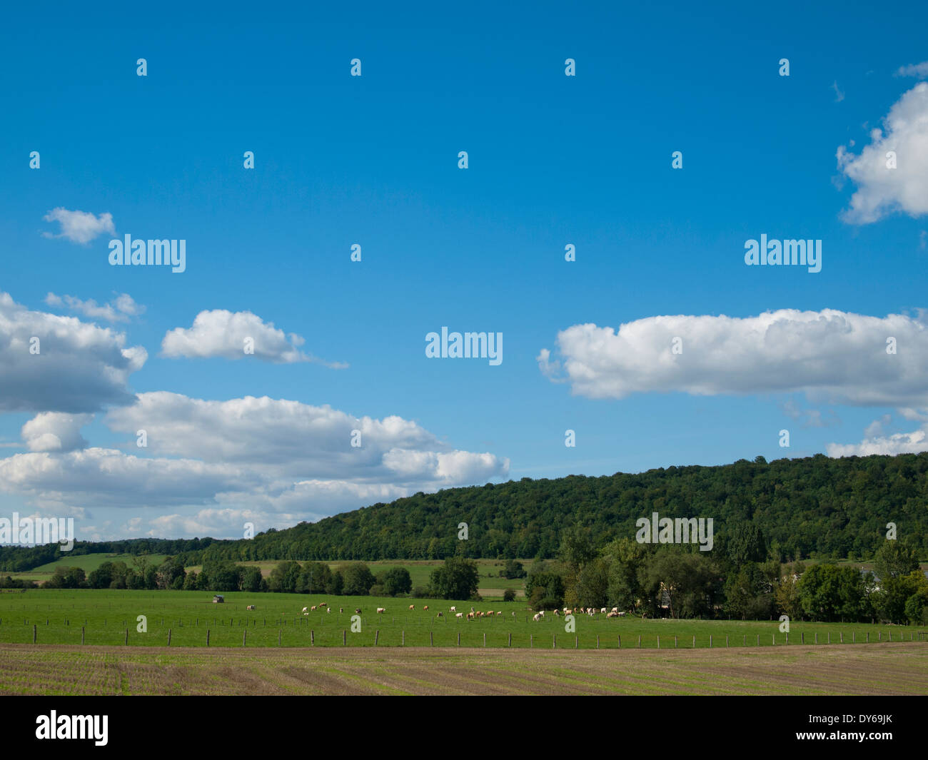 French pastoral hi-res stock photography and images - Alamy