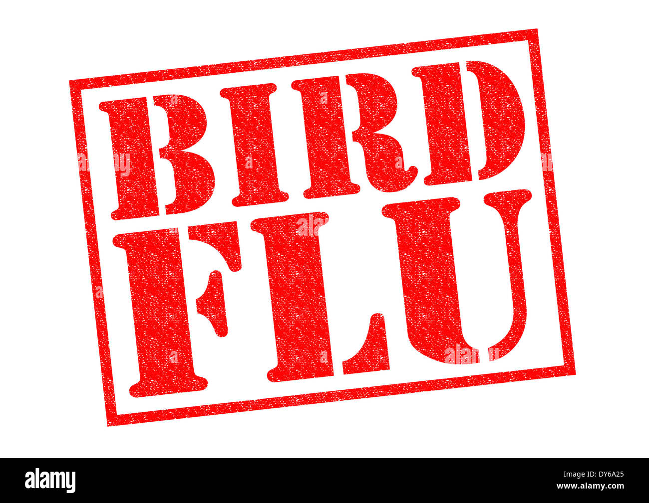 BIRD FLU red Rubber Stamp over a white background Stock Photo - Alamy