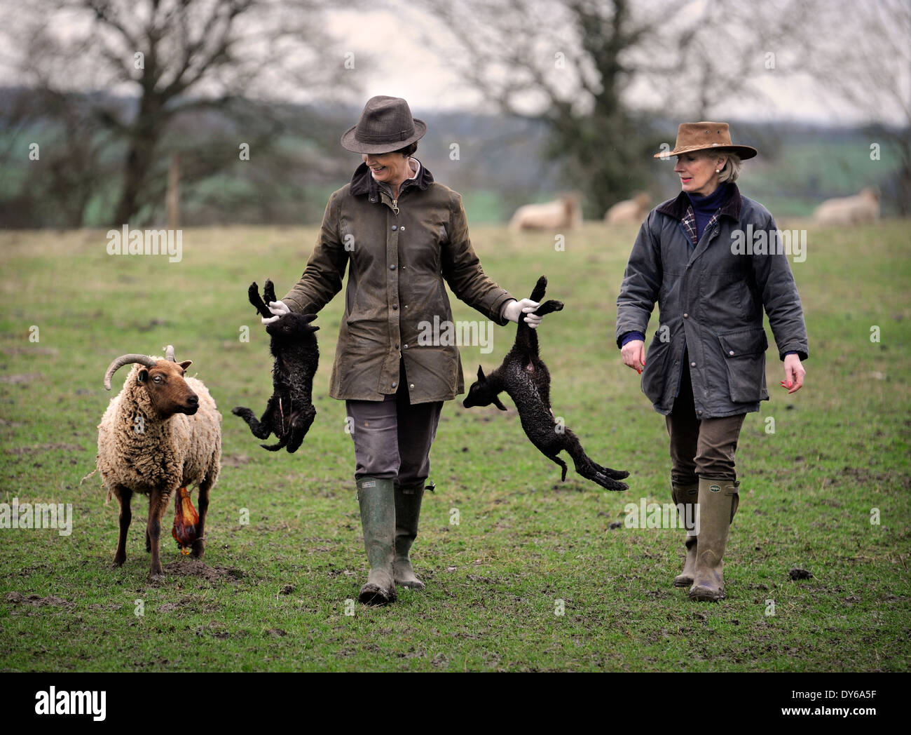 Farmers wives uk hi-res stock photography and images - Alamy