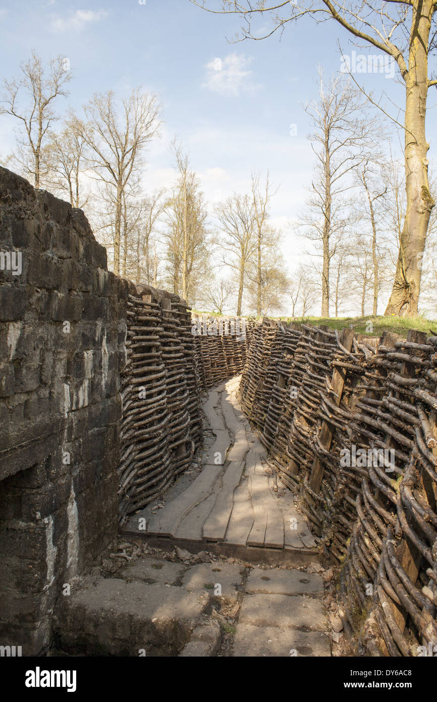 Bayernwald Trenches world war one flanders Belgium Stock Photo - Alamy