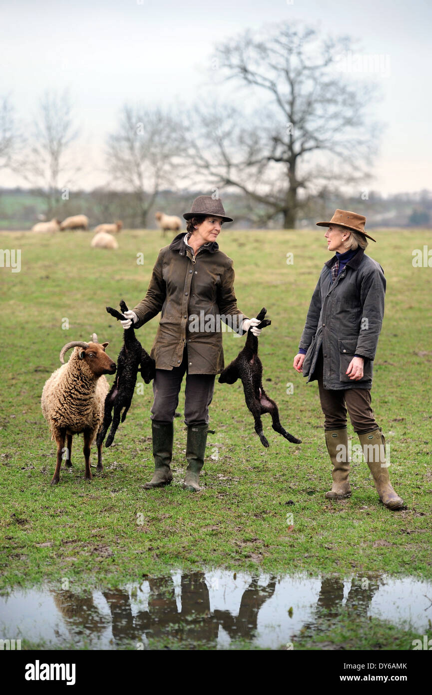 British sheep farmers hi-res stock photography and images - Alamy