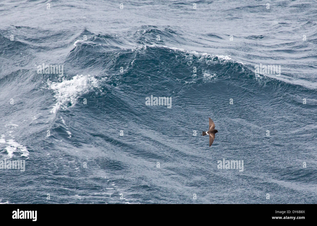 Drake passage storm hi-res stock photography and images - Alamy