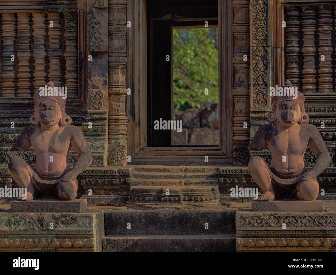 Monkey at ruin hi-res stock photography and images - Alamy