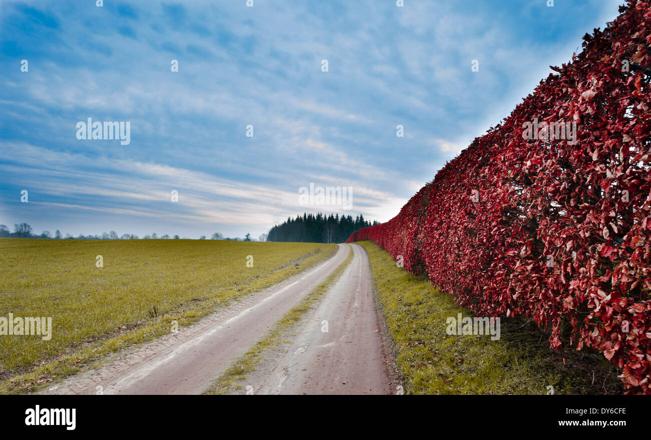 German countryside hi-res stock photography and images - Alamy