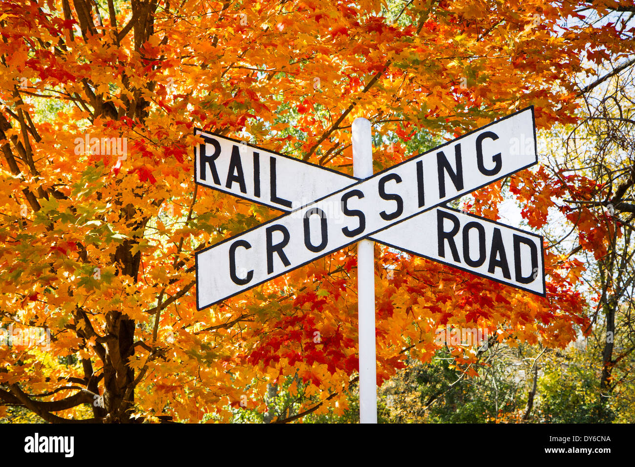 A railroad crossing sign with a brightly colored autumn tree; Delaware ...
