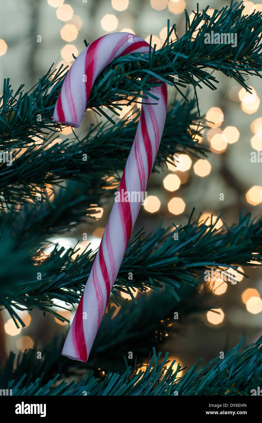 A candy cane hangs on a Christmas tree with lights out of focus in the ...