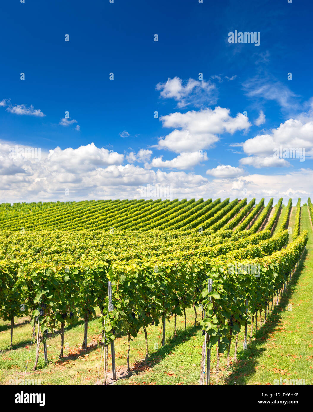 Bio landscape hi-res stock photography and images - Alamy