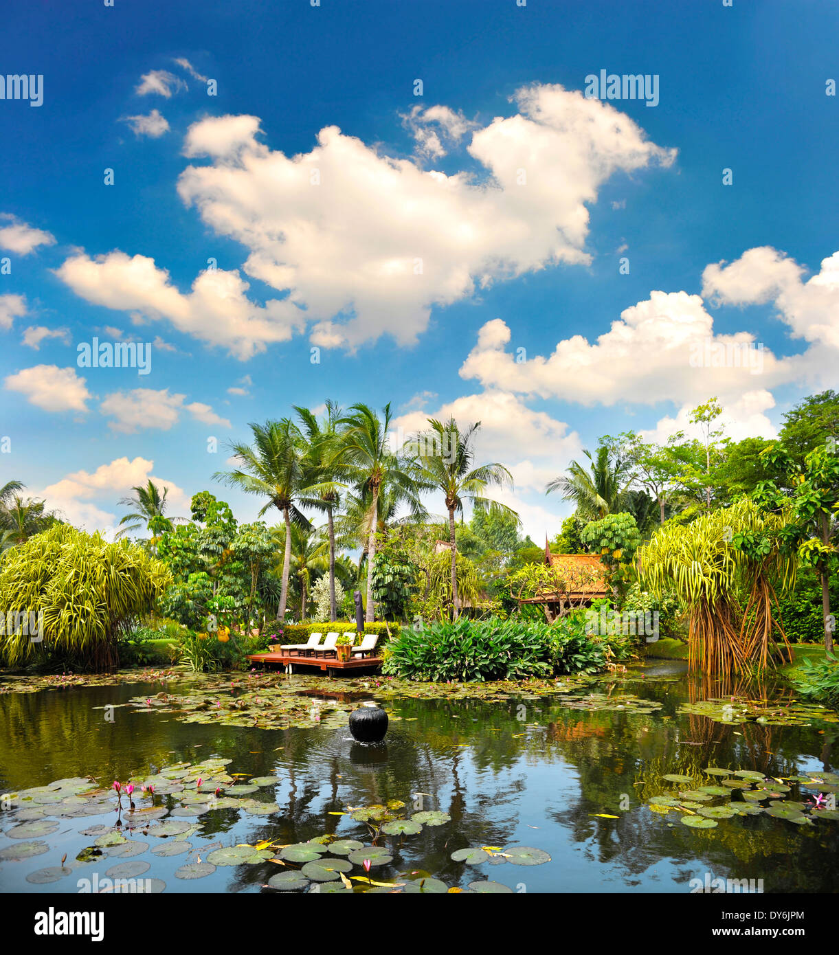 pond with lush tropical plants over cloudy blue sky. luxury resort ...
