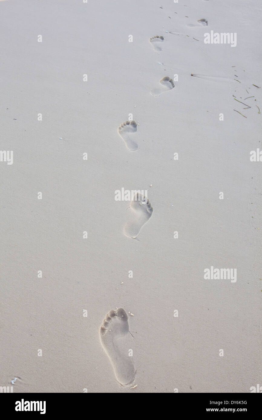 Small footprints hi-res stock photography and images - Alamy