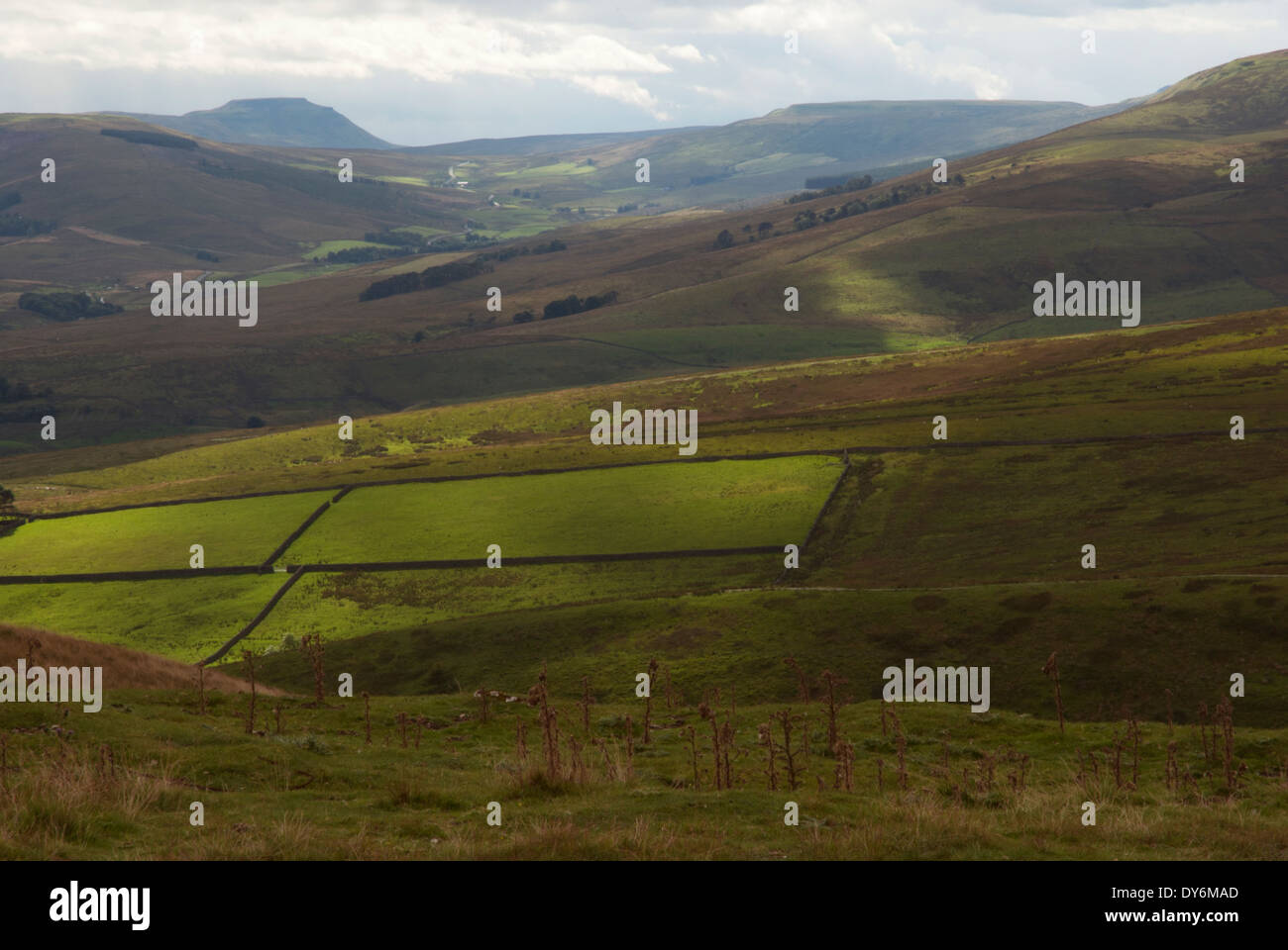 Yorkshire Dales National Park, Swaledale Stock Photo - Alamy