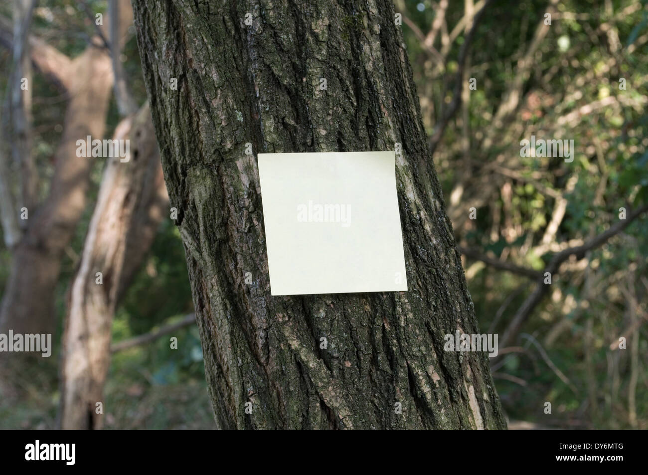 Tree identification post hi-res stock photography and images - Alamy