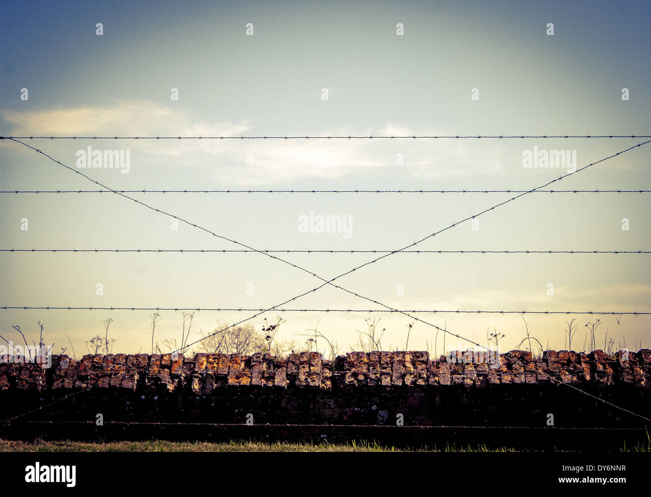 Ww1 battlefield barbed wire hi-res stock photography and images - Alamy