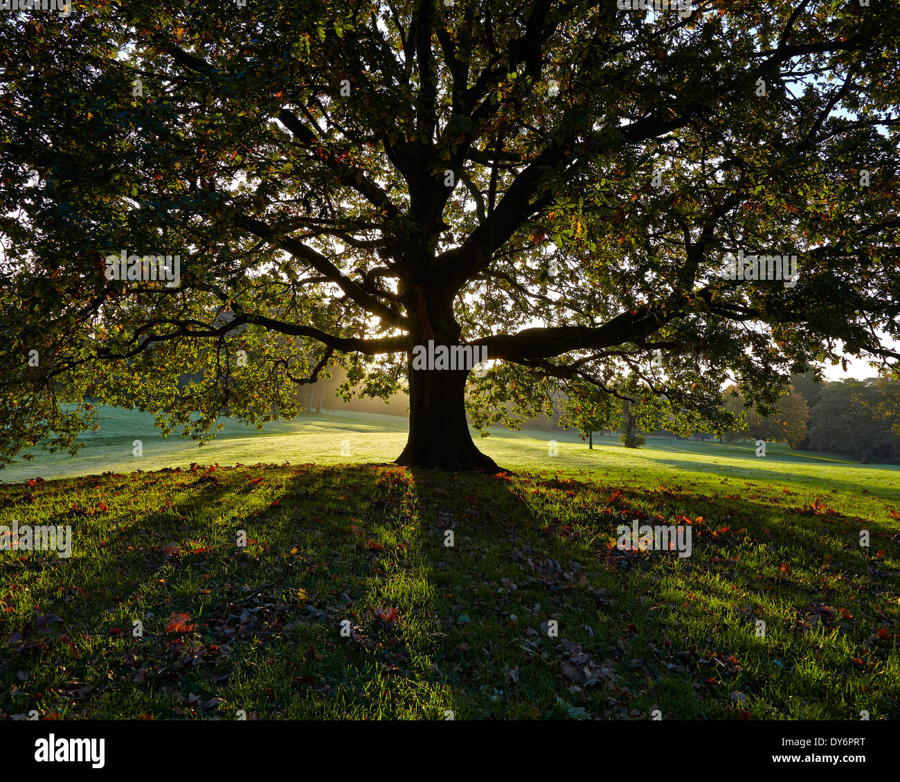 Singleton park swansea hi-res stock photography and images - Alamy