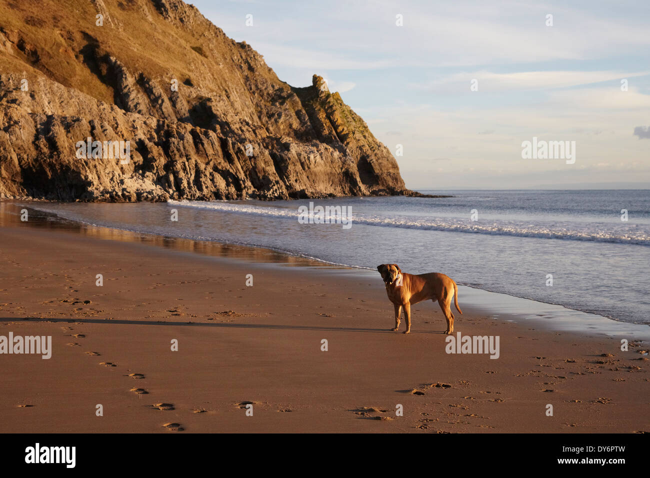 Dag sand hi-res stock photography and images - Alamy