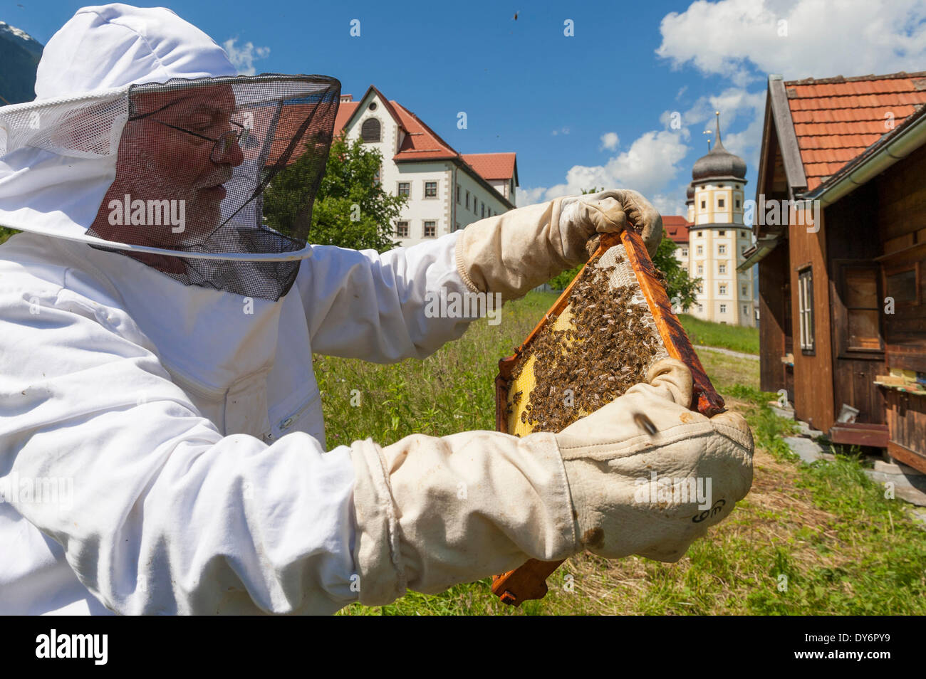 Abbey Stams - the life of the Cistercian monks - Father Norbert ...