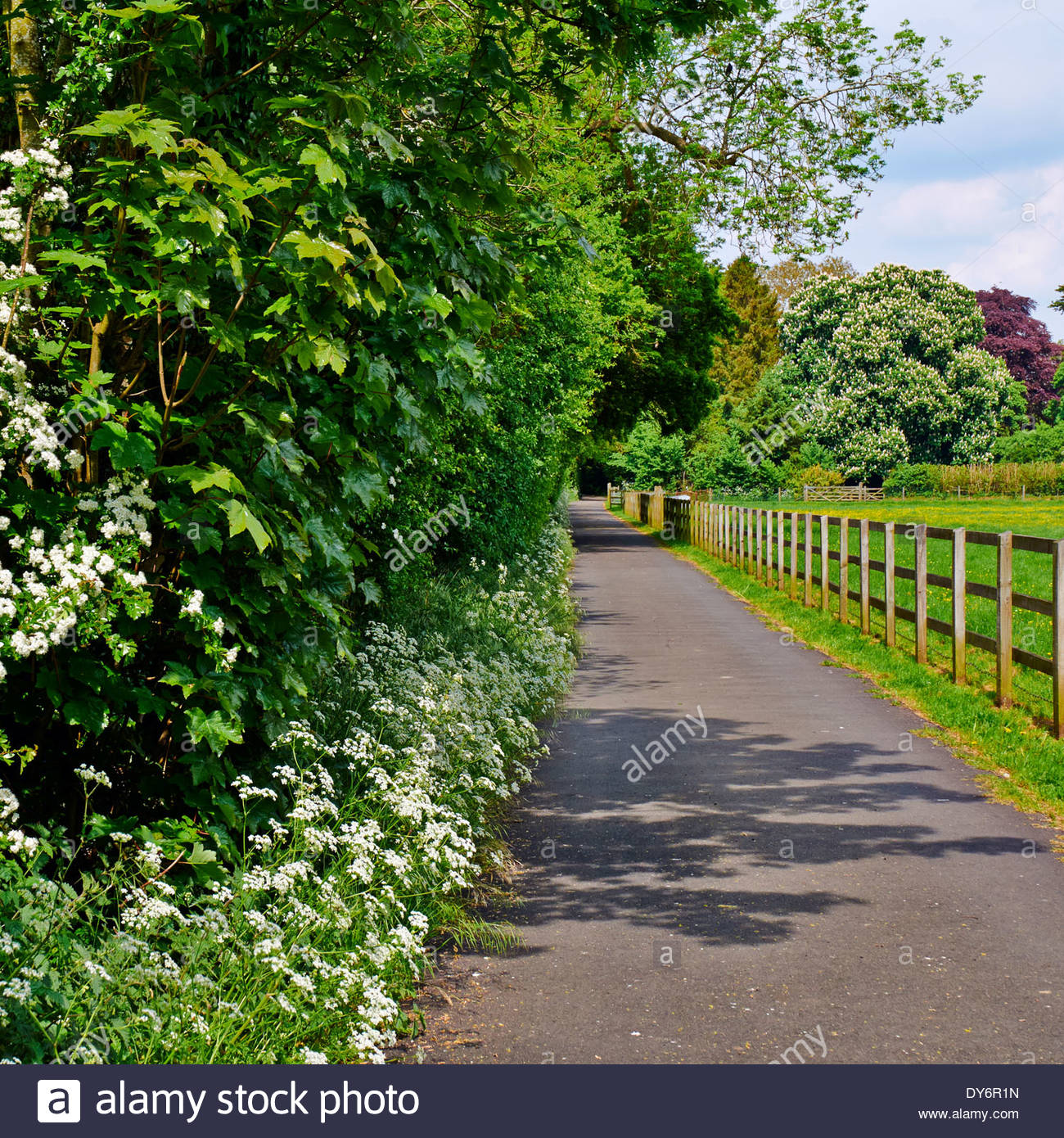 English Countryside Hedgerows High Resolution Stock Photography and ...