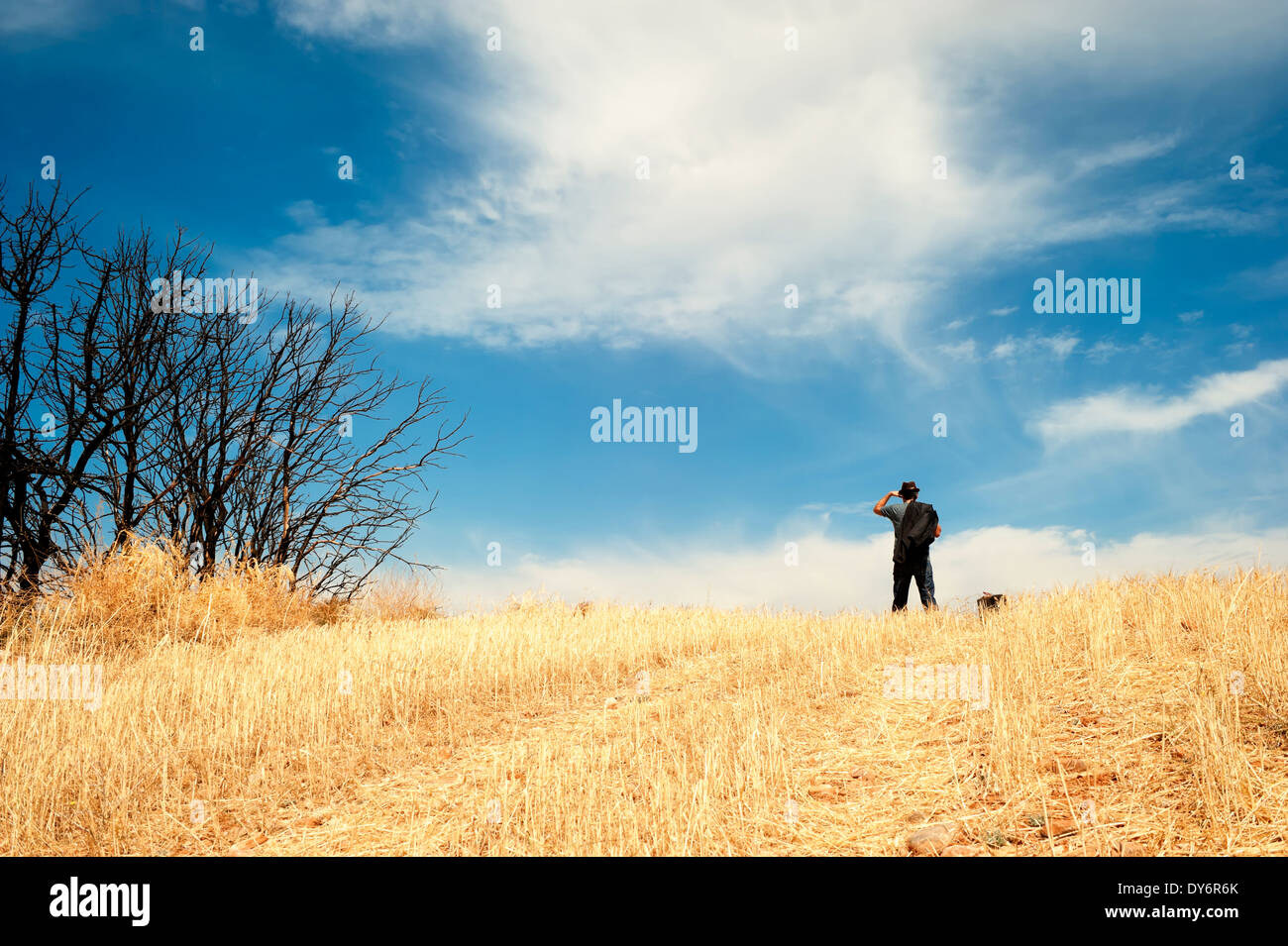 Man standing in a field observing the horizon Stock Photo - Alamy