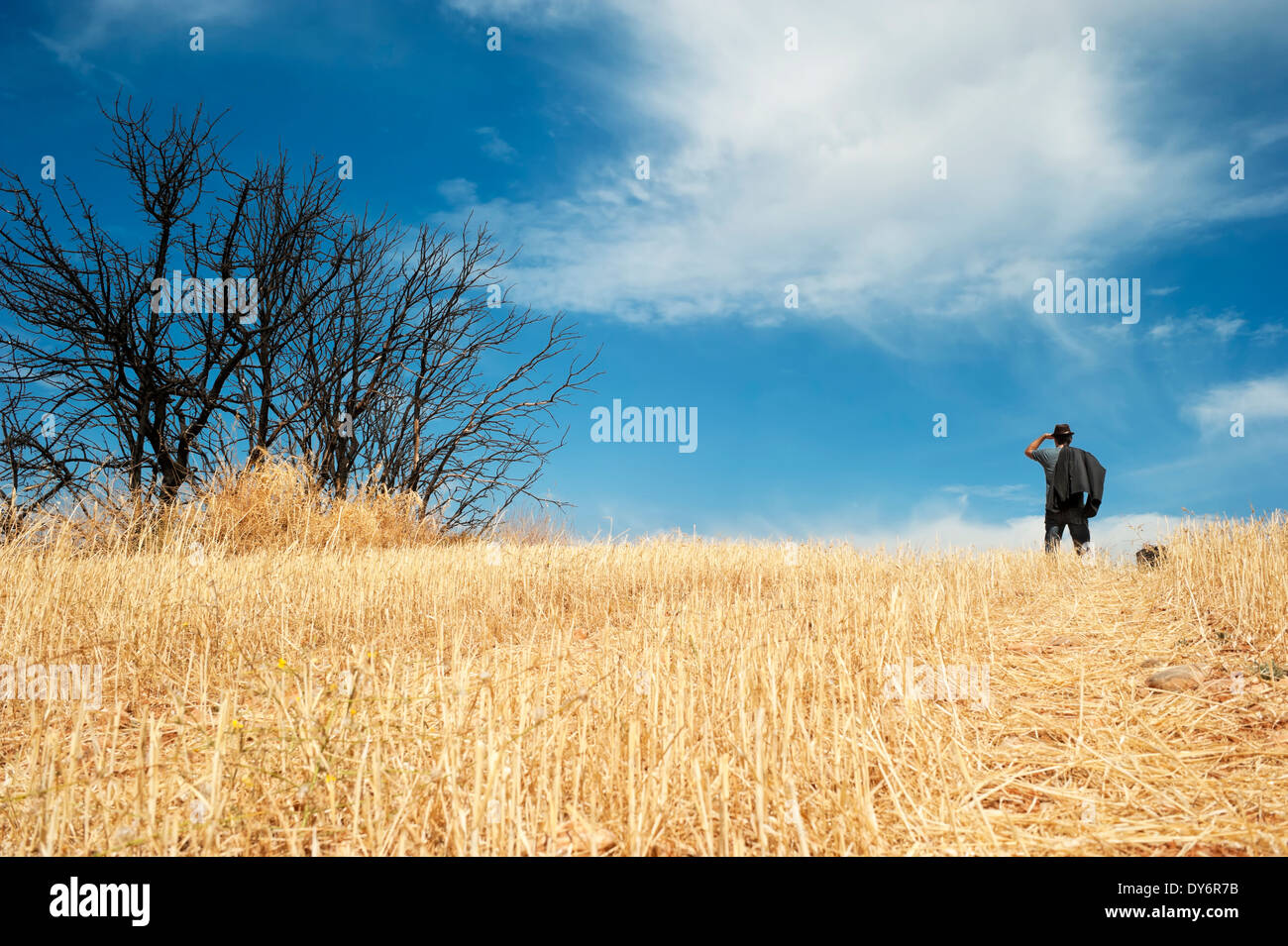 Observing man hi-res stock photography and images - Alamy