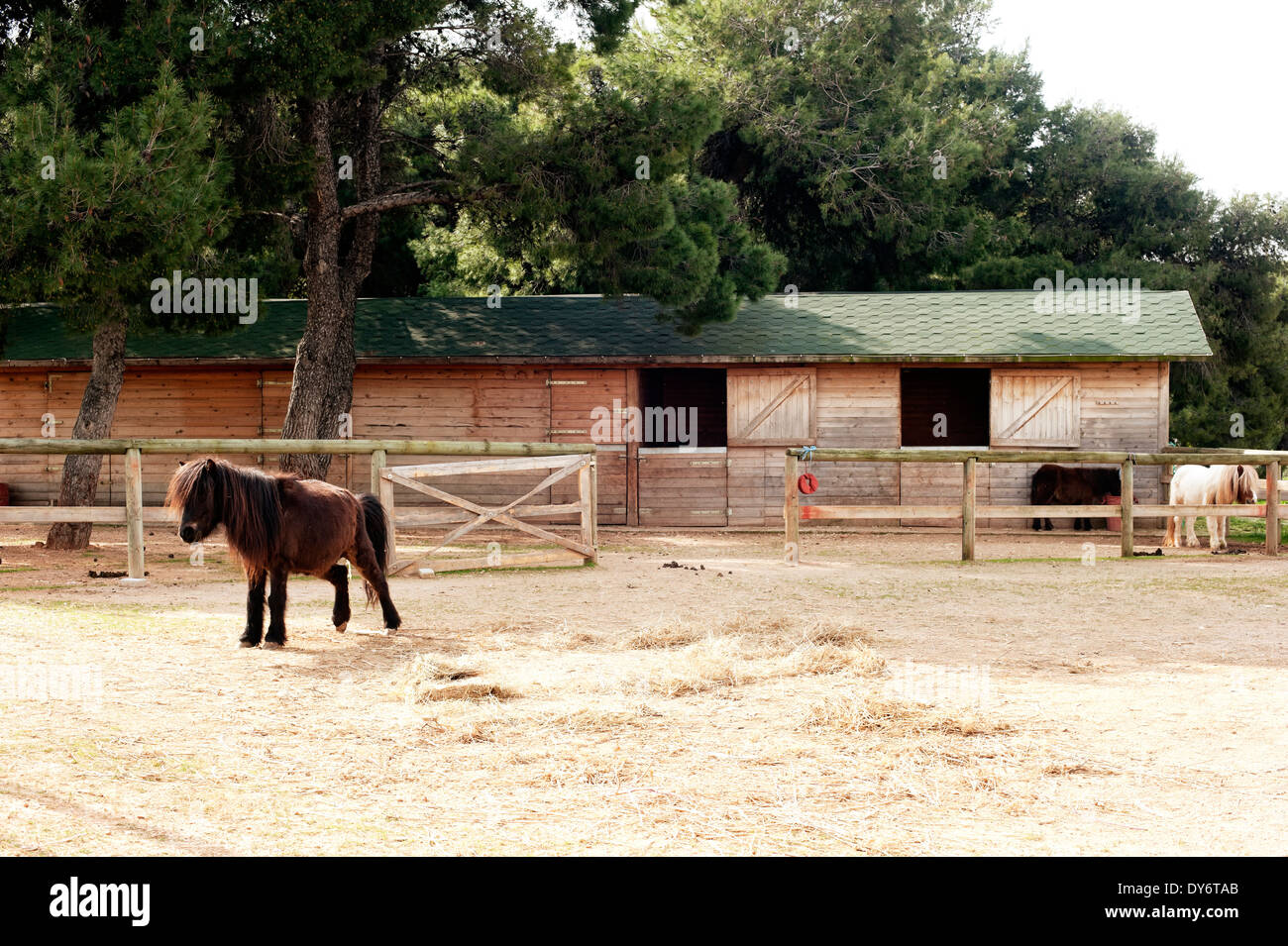 Farm mammals hi-res stock photography and images - Alamy