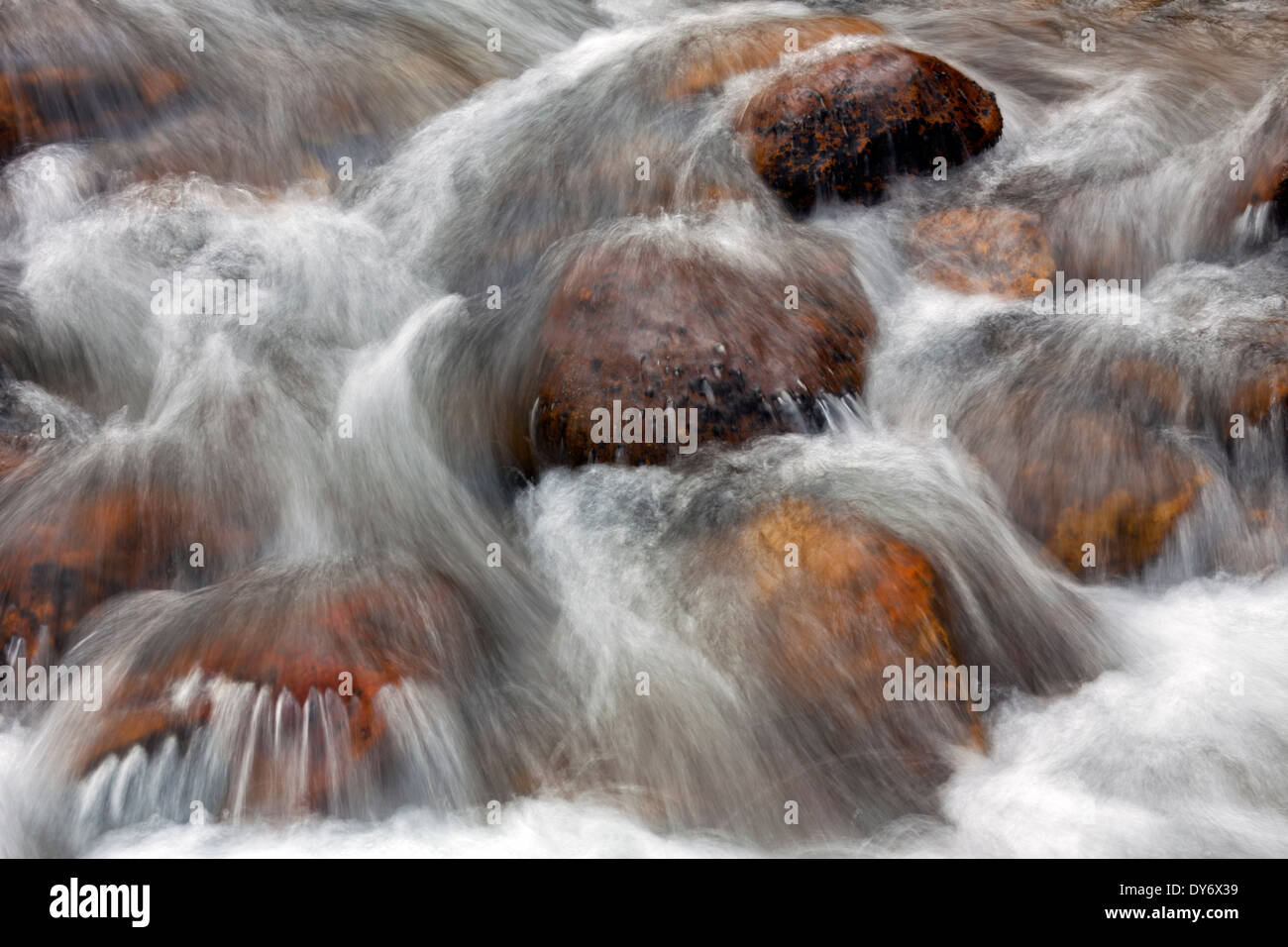 Water flowing over boulders in Alpine mountain stream in the Alps Stock ...