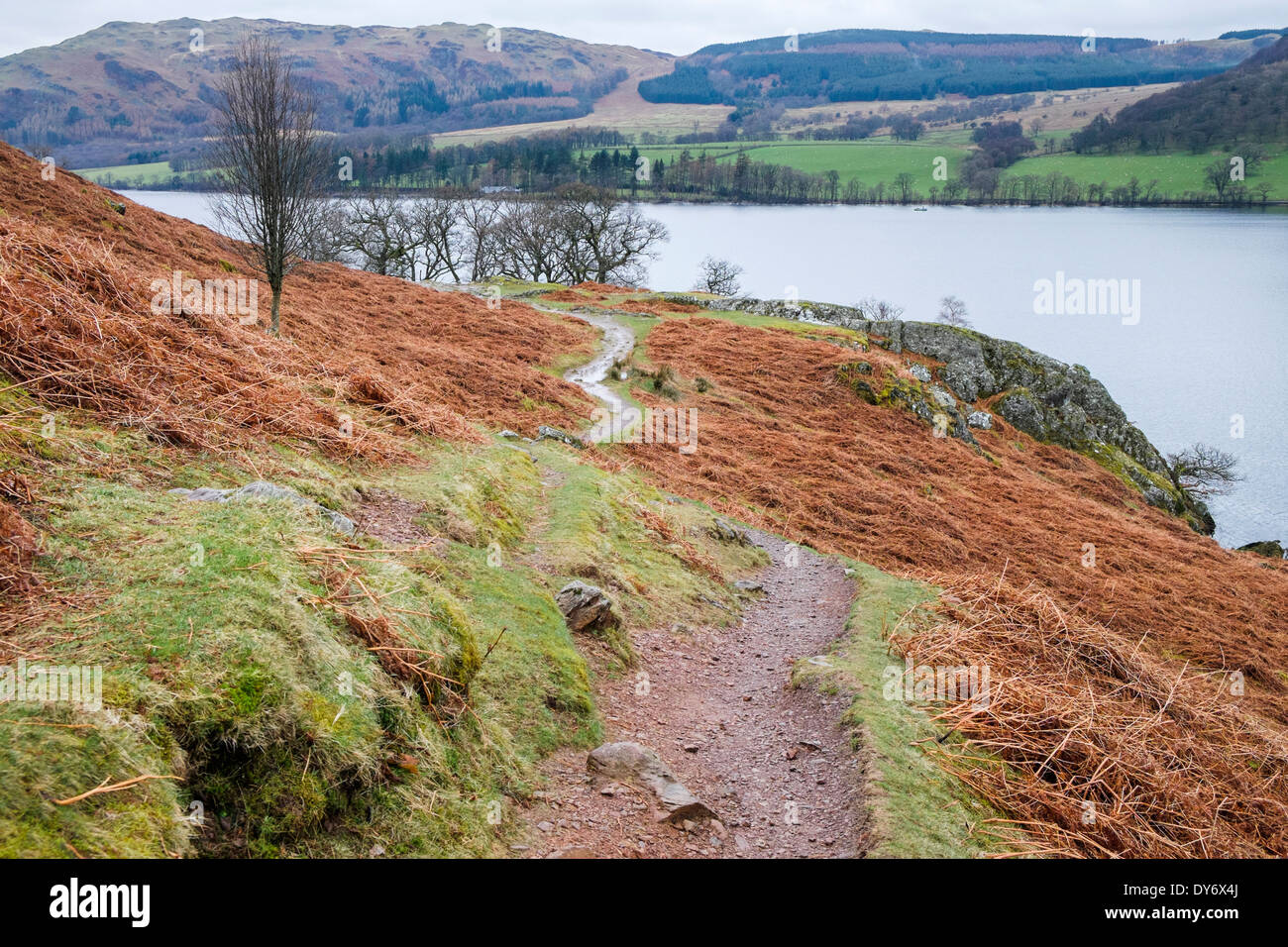 Lakeside footpath around Hallin Fell beside Ullswater in Lake District ...