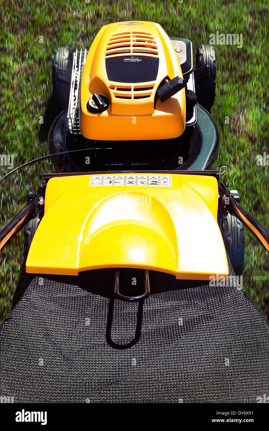 Gardener cutting grass hi-res stock photography and images - Alamy