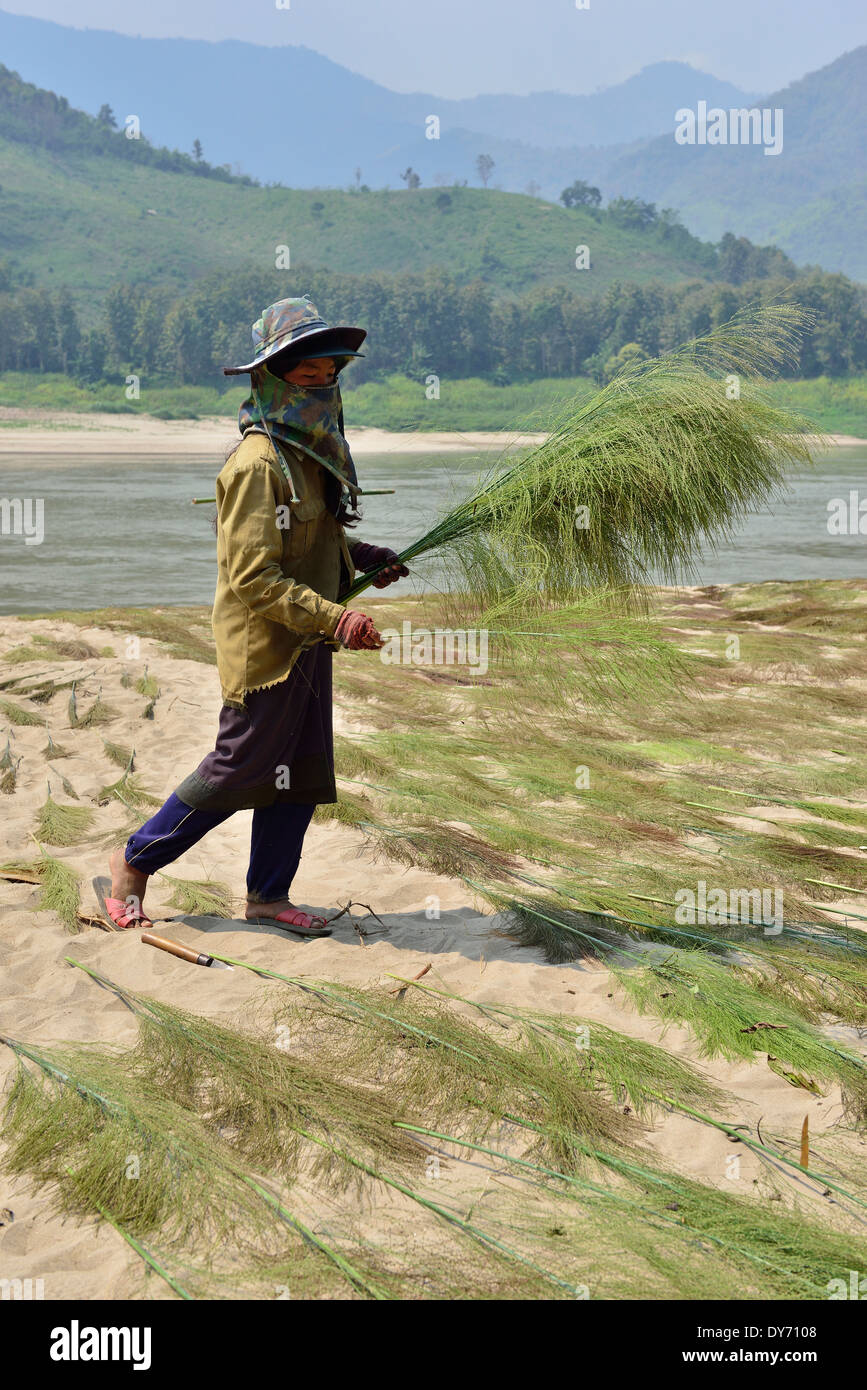 Hmong Laos High Resolution Stock Photography and Images - Alamy