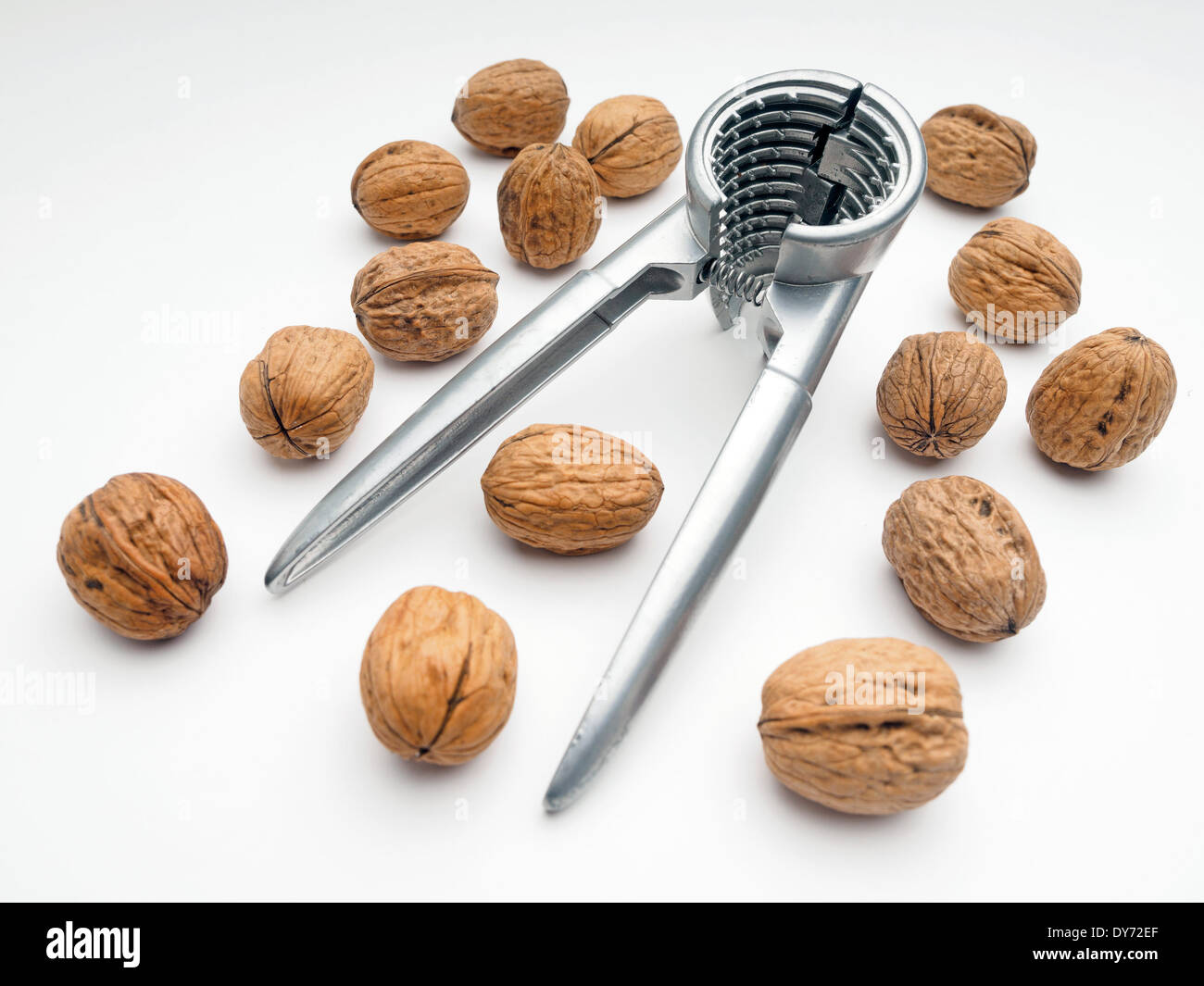 Walnuts and nutcracker cut out isolated on white background Stock Photo ...