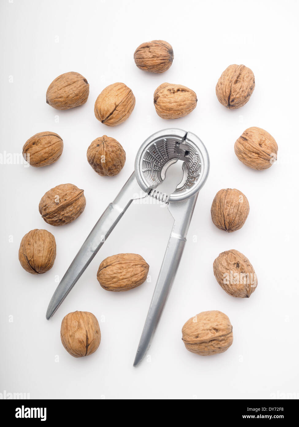 Walnuts and nutcracker cut out isolated on white background Stock Photo ...