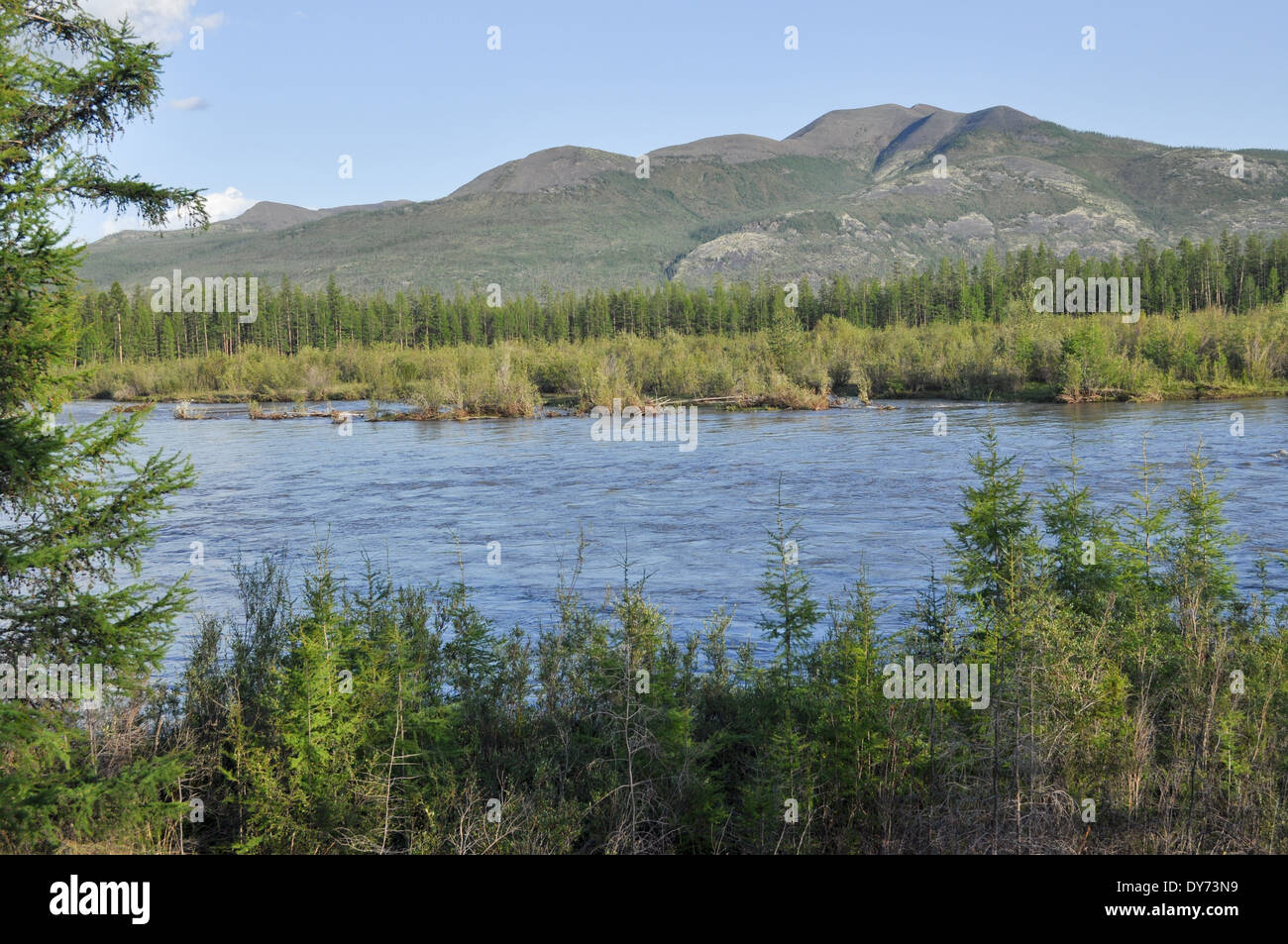 Water summer landscape surrounding the river Suntar in the Highlands of ...