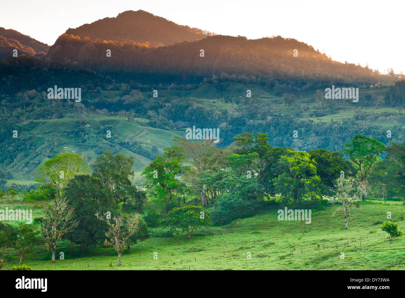 Panama landscape with early morning sunlight on the forested hillsides ...
