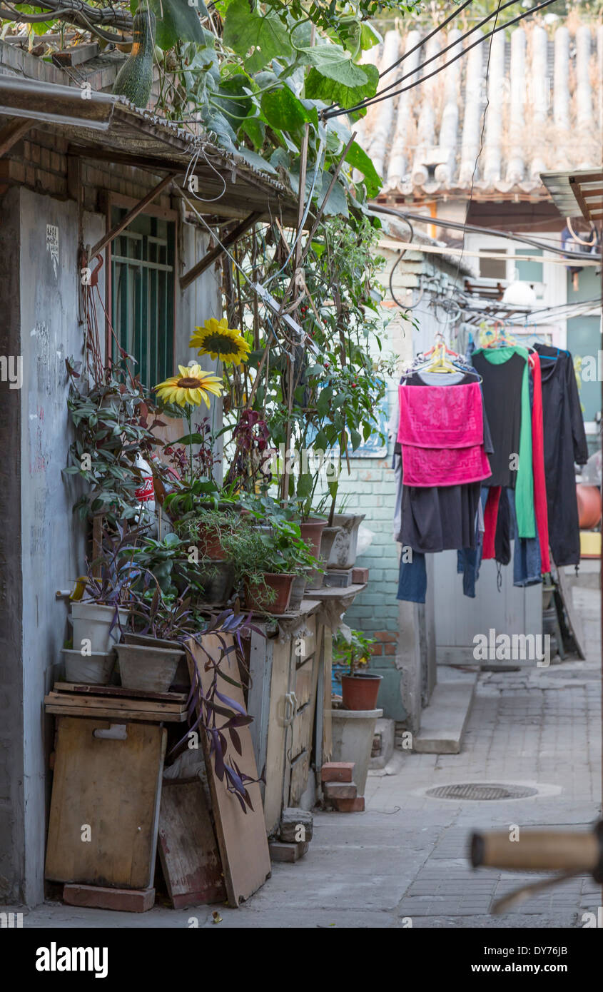 ASIA Beijing CHINA Chinese architecture Hutongs daily life Stock Photo ... ASIA Beijing CHINA Chinese architecture Hutongs daily life Stock Photo ...