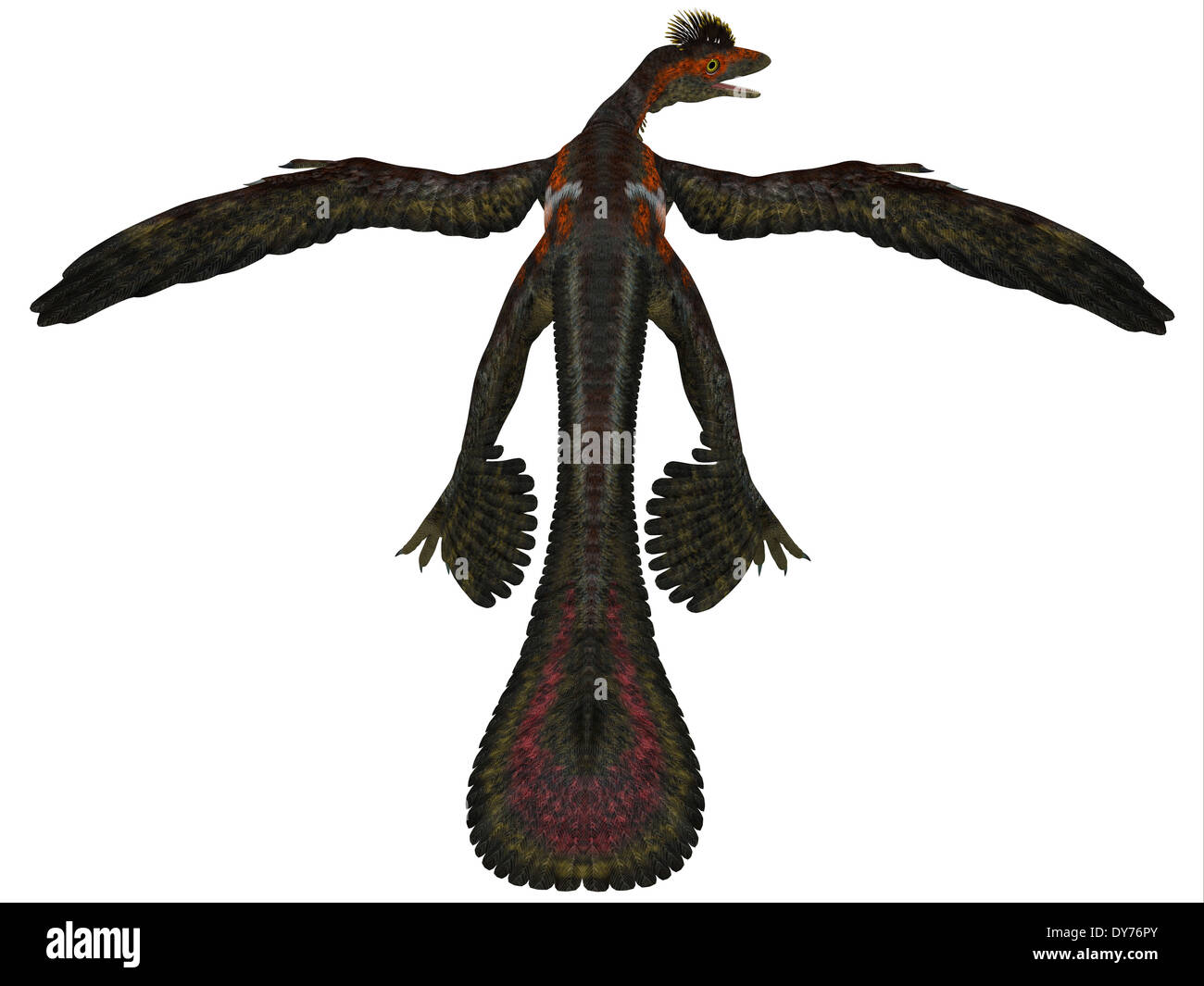 Dinosaur Train Microraptor