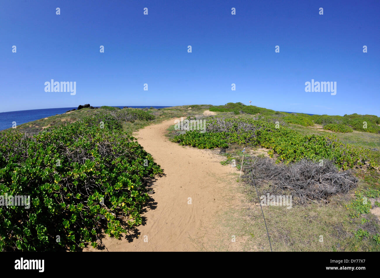 Kaena point hi-res stock photography and images - Alamy