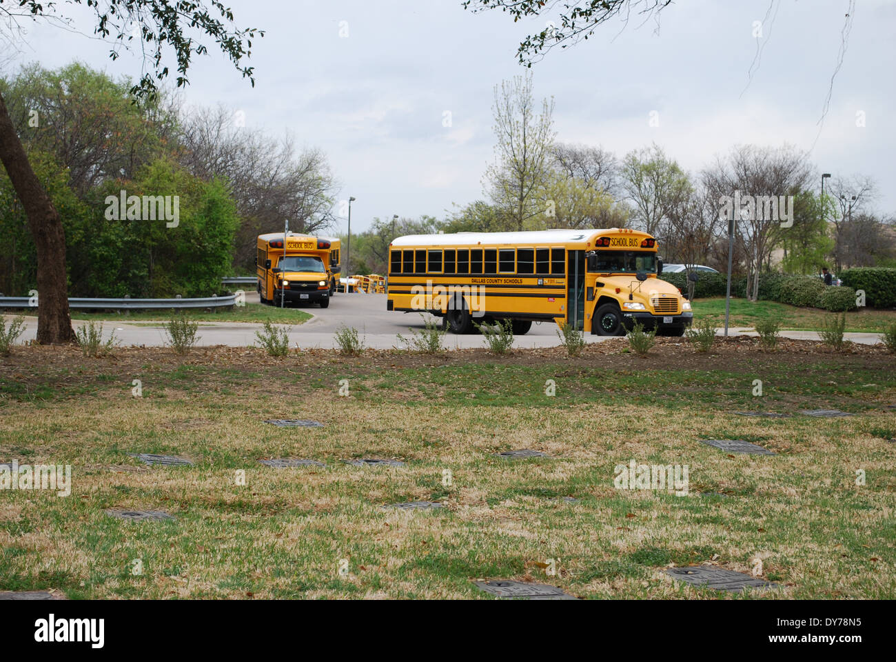 Yellow school buses leave a bus barn for the after noon trip from ...
