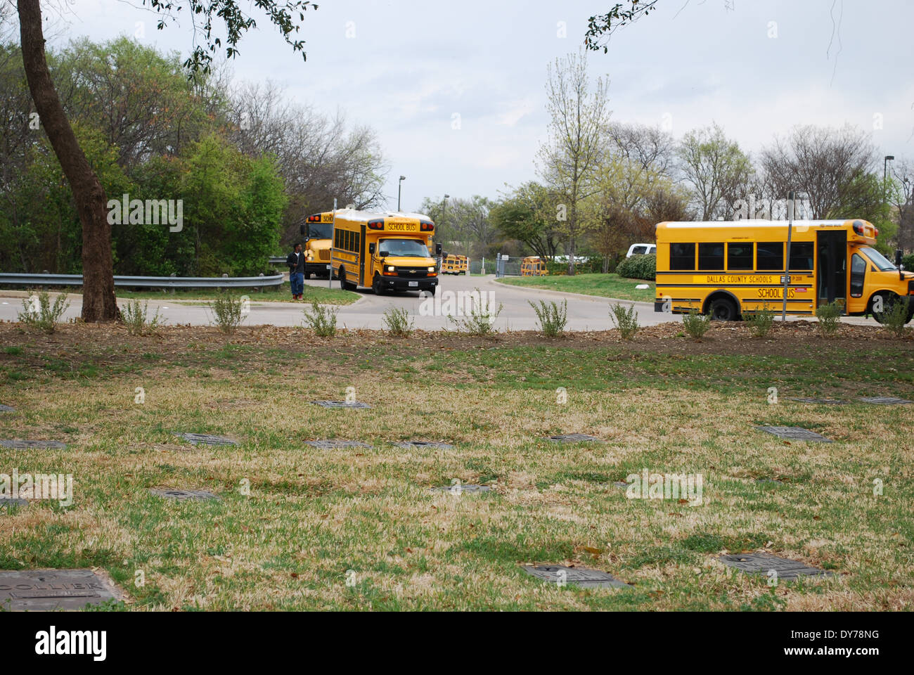 Yellow school buses leave a bus barn for the after noon trip from ...