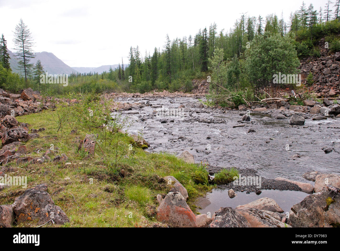 River Bucharama into lake Lama. The Putorana plateau, Taimyr Peninsula ...