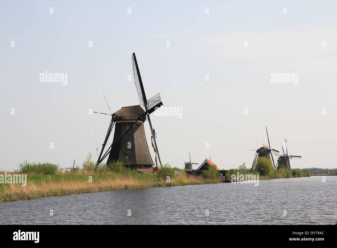 Windmills on the canal bank. Typical Dutch rural landscape in the ...