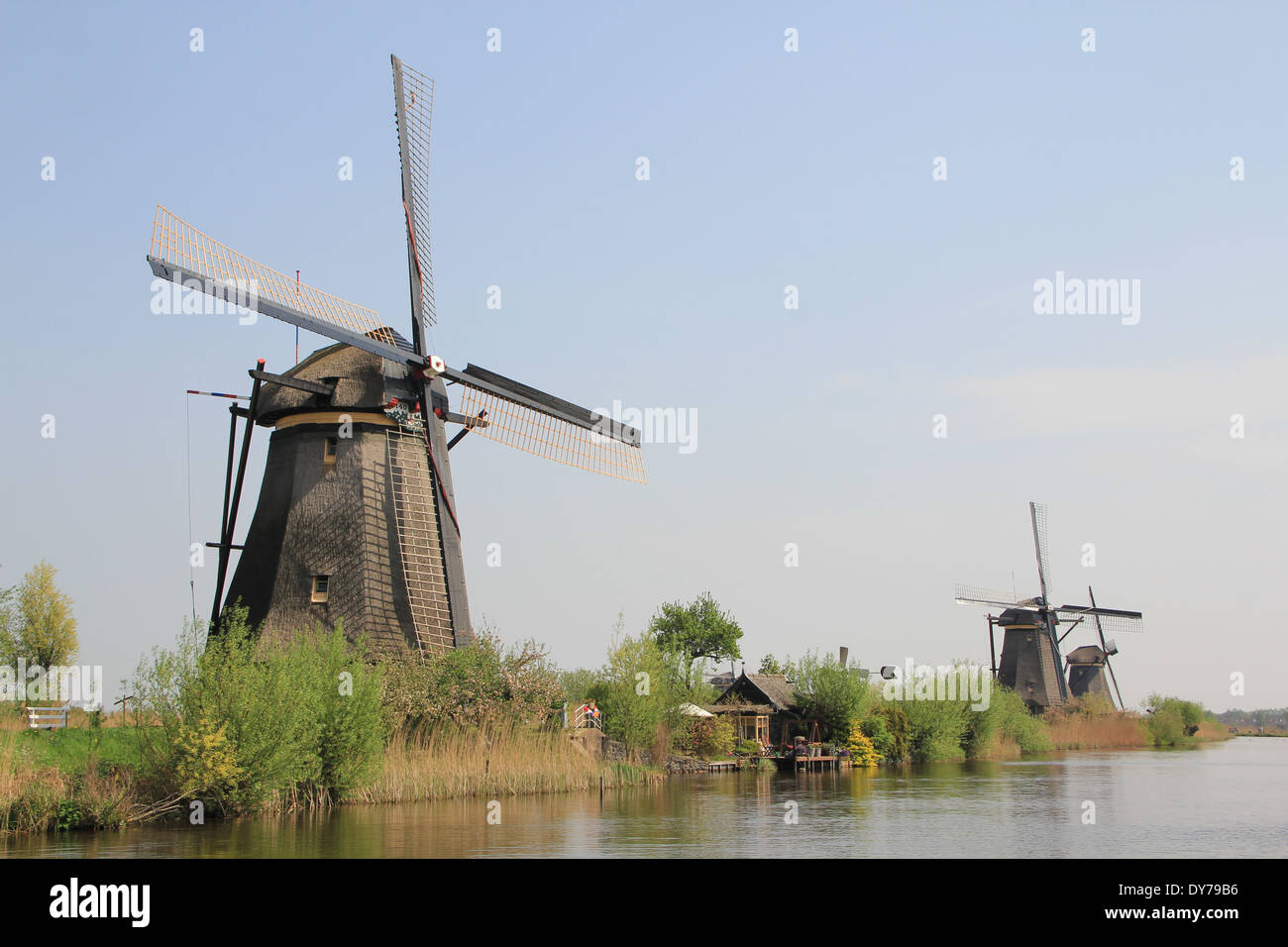 The Dutch windmill. Dutch countryside landscape with the windmill on ...