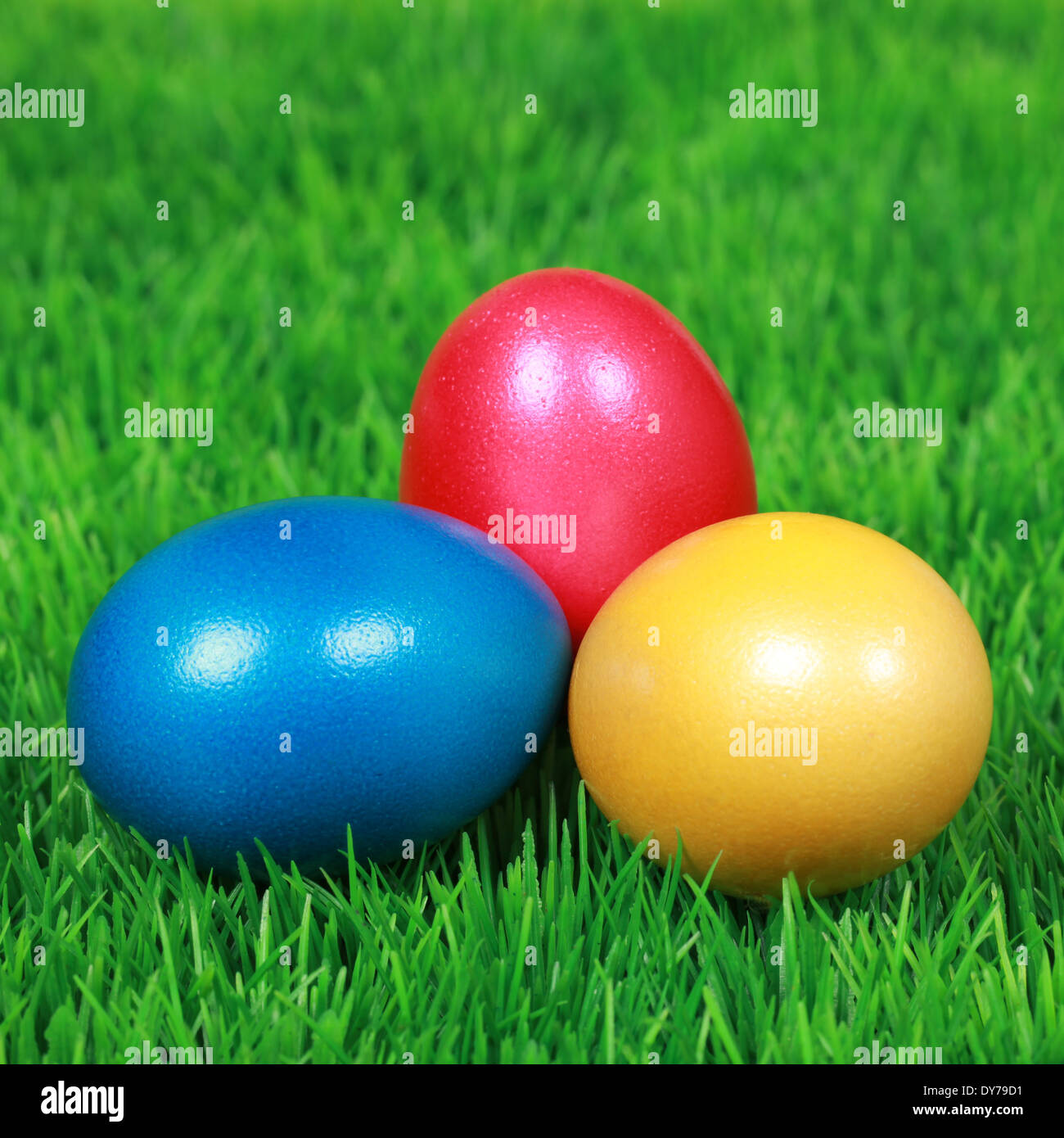 Blue red yellow green eggs hi-res stock photography and images - Alamy
