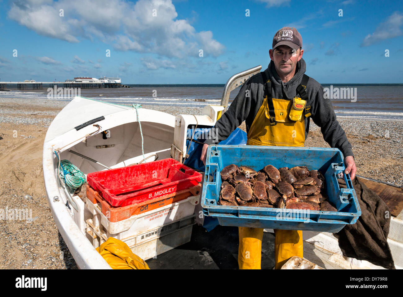 Cromer, UK. 8th April, 2014. As the new crab season gets underway crab ...
