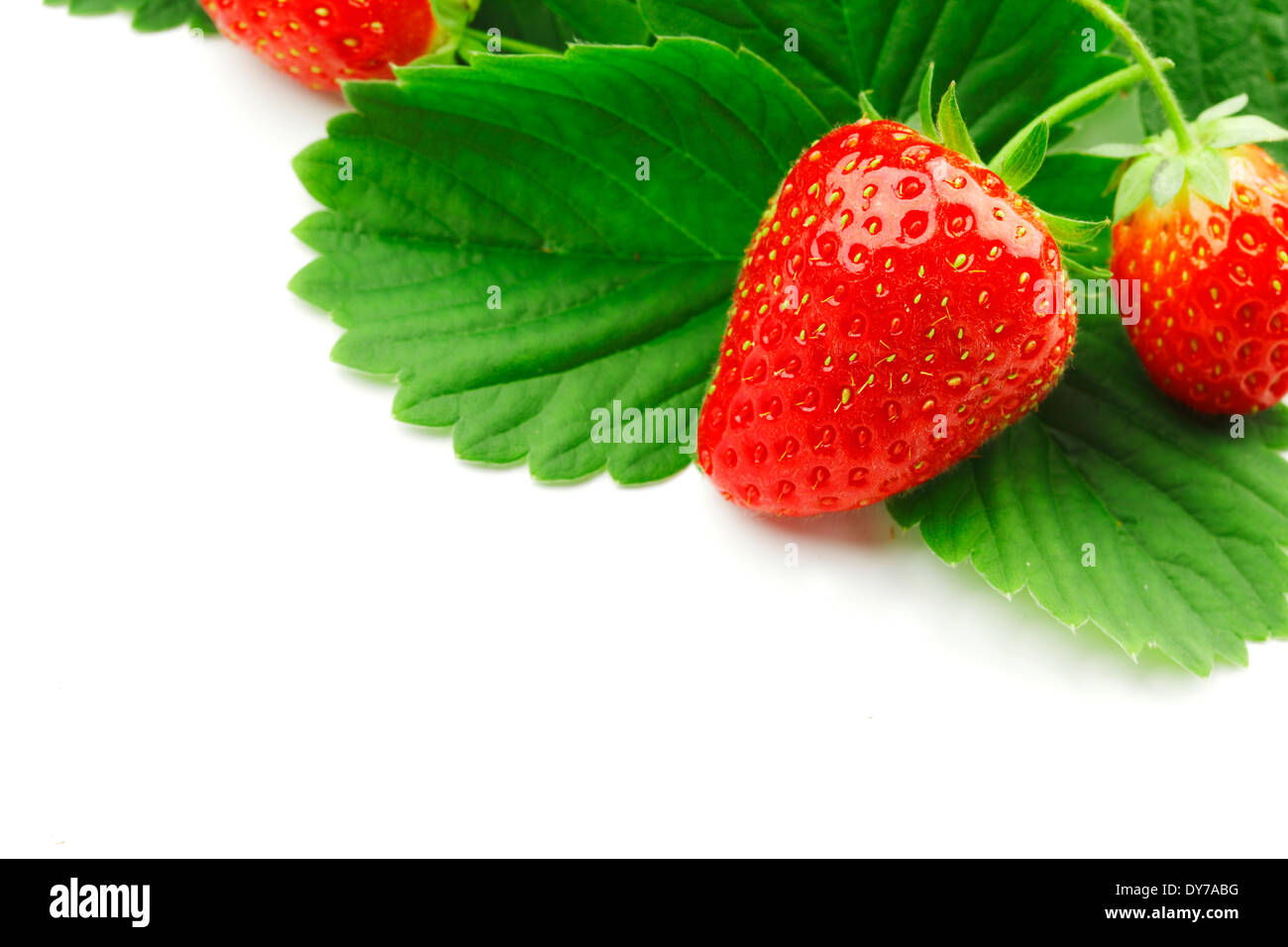 Strawberry with leaves isolated on white background Stock Photo - Alamy